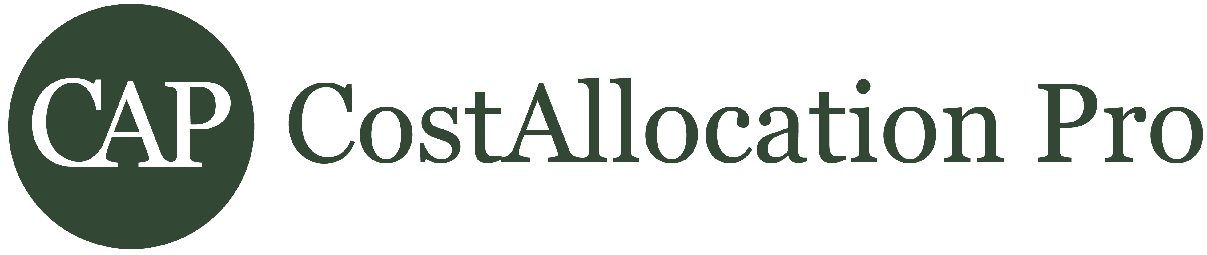 CostAllocation Pro